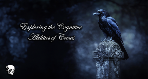 Exploring the Cognitive Abilities of Crows | Love of Gothic